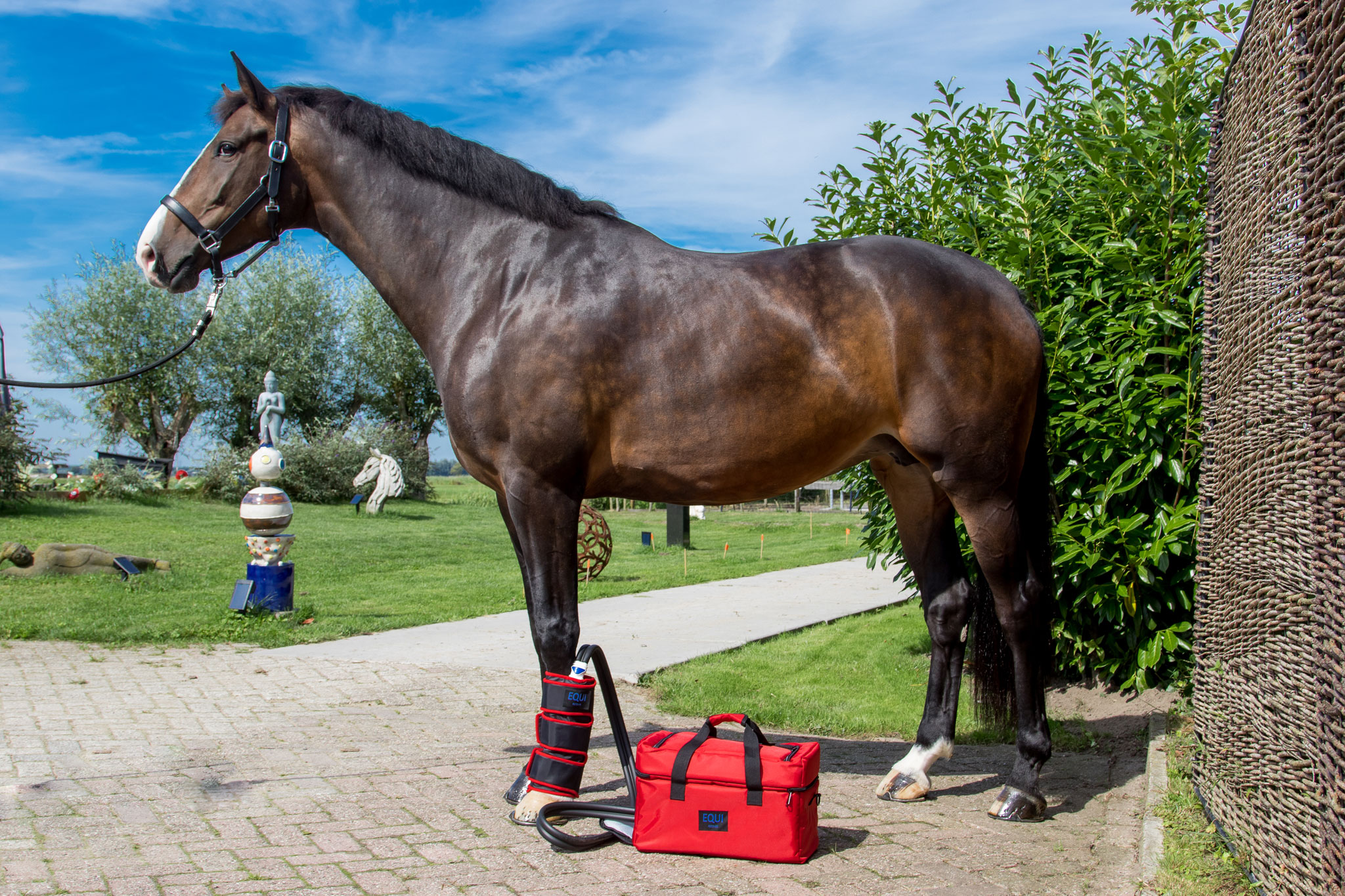 EQUI RECOVER – Cool & Compress Therapy voor Paarden Aanbevolen door dierenartsen